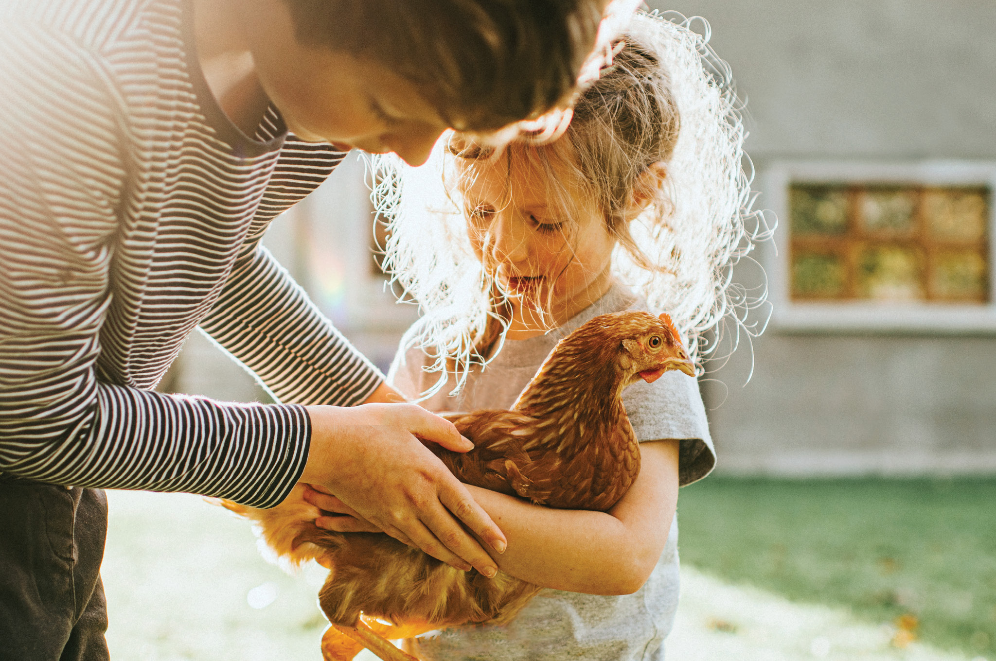 Thinking | William Blair