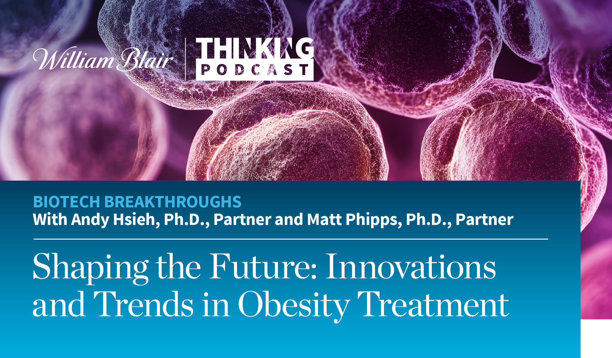 Thinking | William Blair